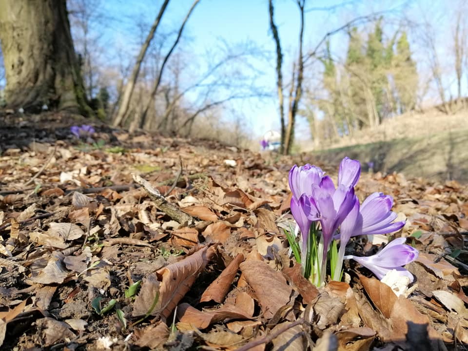 Prigorski Planinski melini uz potok Vukov dol - mjesto obiteljskih ...