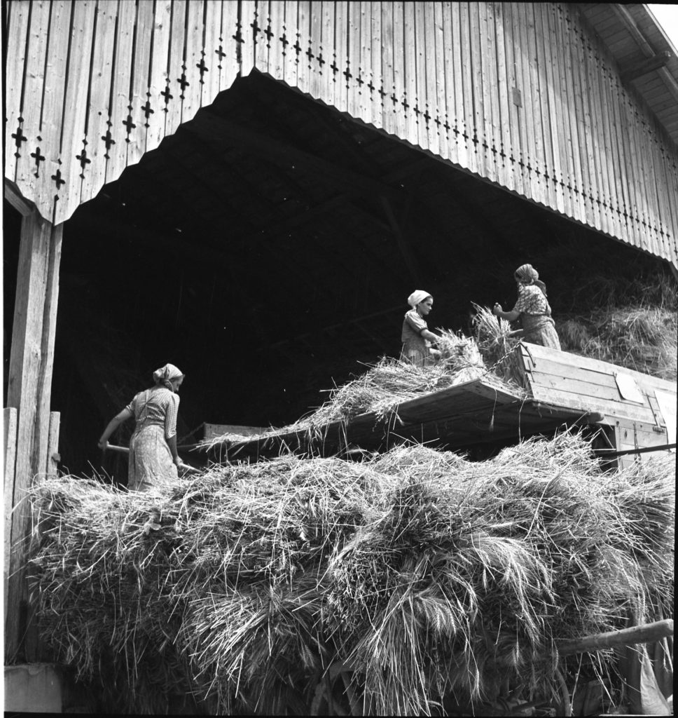 Izložba: "Selo u reportažnoj fotografiji Toše Dabca od 1930-ih do 1950 ...