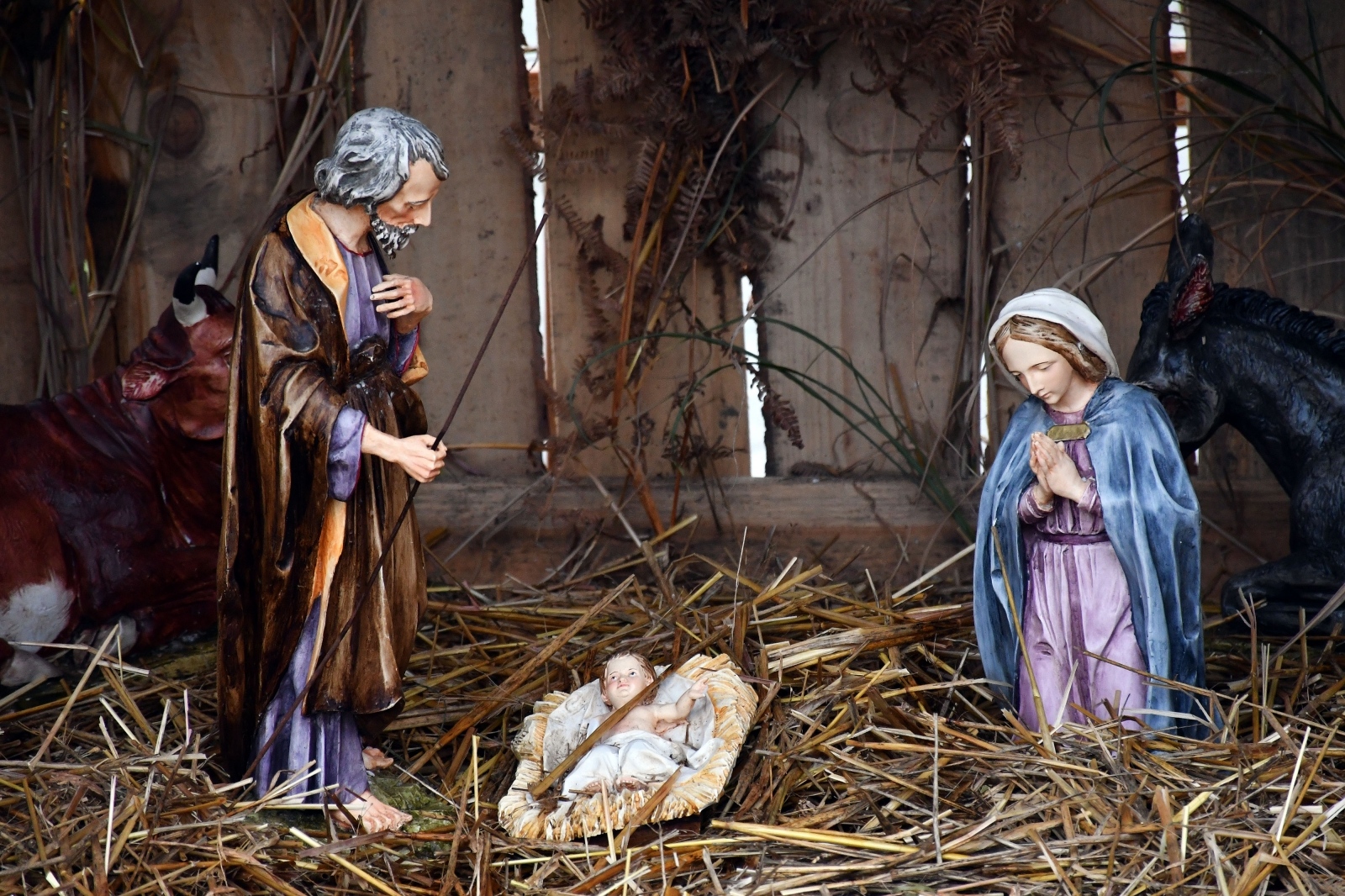 FOTOGALERIJA Pogledajte kako je diljem Hrvatske proslavljen Božić | HKM