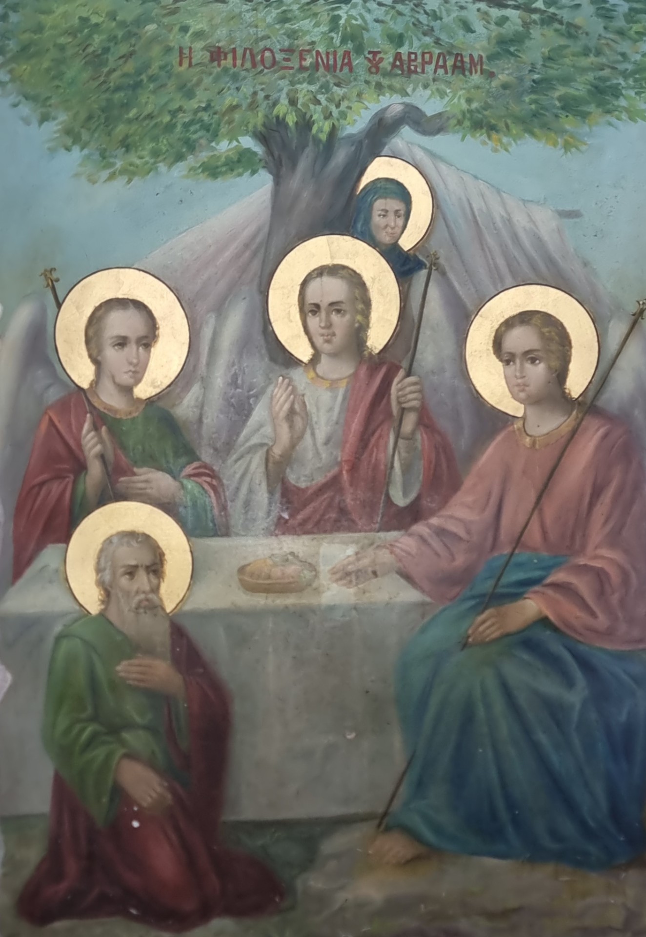 Koja je vrsta stabla i s kojeg mjesta dala drvo za Isusov križ? | HKM