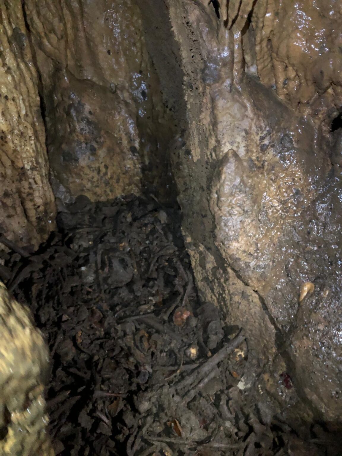 SPELEOLOG KOJI JE OTKRIO JAZOVKU „To je bila strava i užas, kosti su ...